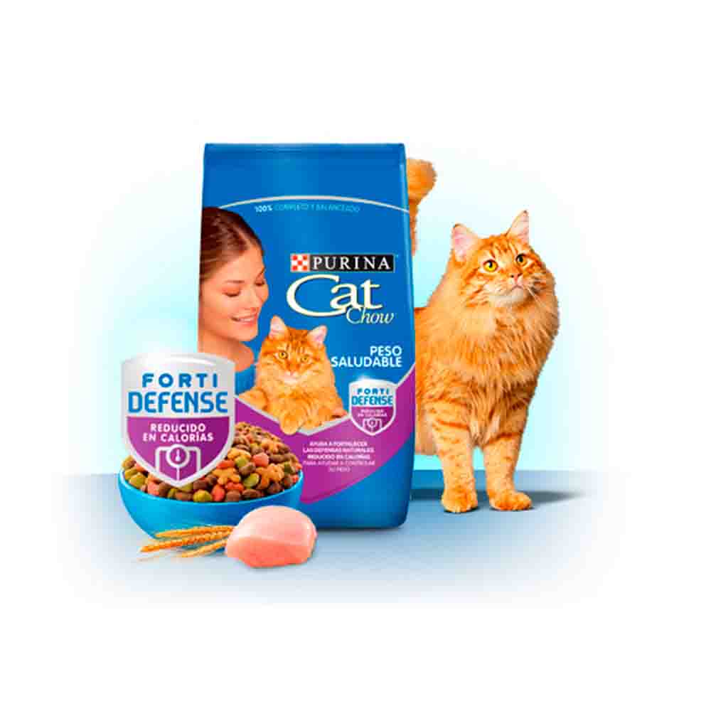 exito.com | Alimento Para Gatos Cat Chow Peso Salud Fortidefense | Éxito